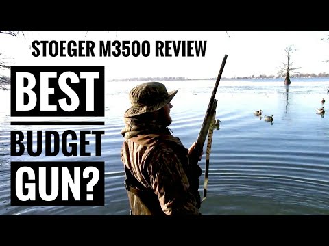 Stoeger M3500 Shotgun Review