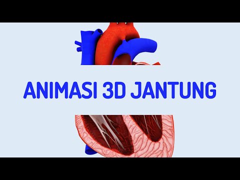 Animasi Jantung 3D - Sistem Peredaran Darah ❤🩺
