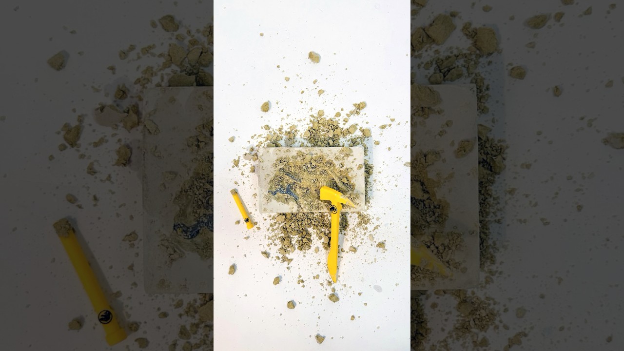 🦖See what’s inside with this awesome dinosaur dig activity!