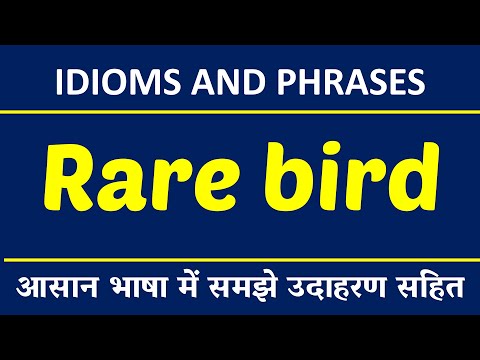 Rare bird Meaning in Hindi With Sentence | English Idioms and Phrases