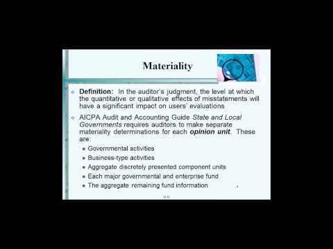 Materiality in Government Accounting