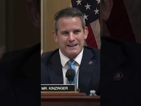 Rep. Adam Kinzinger at the 1/6 hearing: "Trump chose not to act [during the 187 minutes]." #shorts