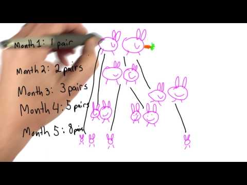 Learn Bunnies Intro to Computer Science - Mind Luster