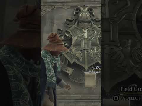 The hidden meaning in the Hogwarts logo.. #hogwartslegacy #harrypotter #gaming #gameplay