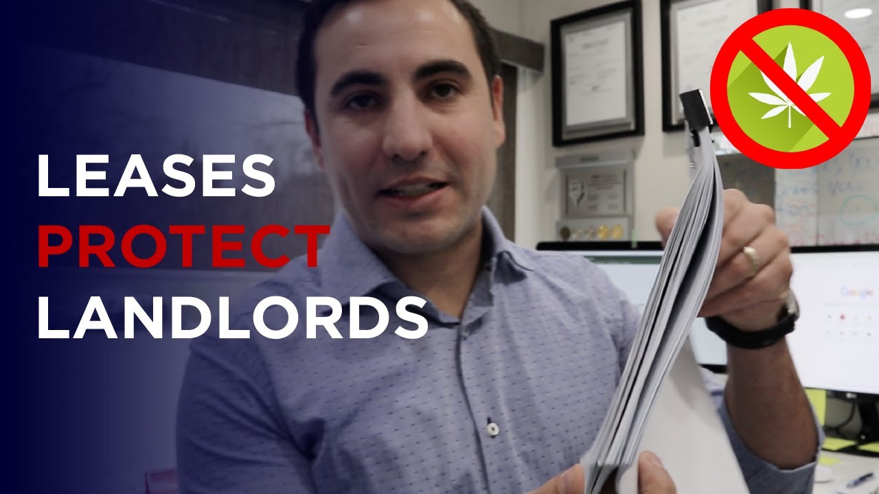 FINALLY The Right Cannabis Clause To Protect Landlords