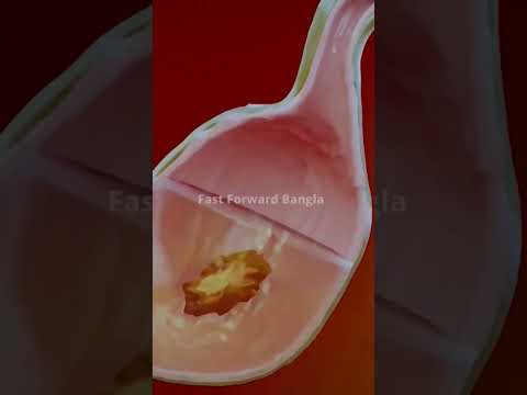 human body facts in bengali #shorts #youtobeshorts #ytshorts #amazingfacts #interestingfacts