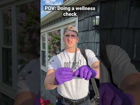 POV: Doing a wellness check