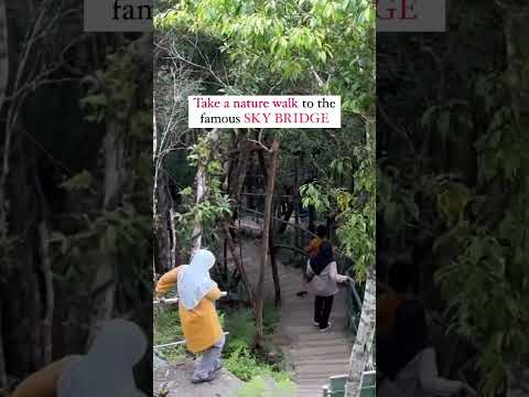 All you need to know about SkyBridge Cable car Langkawi #travel #langkawi #malaysia