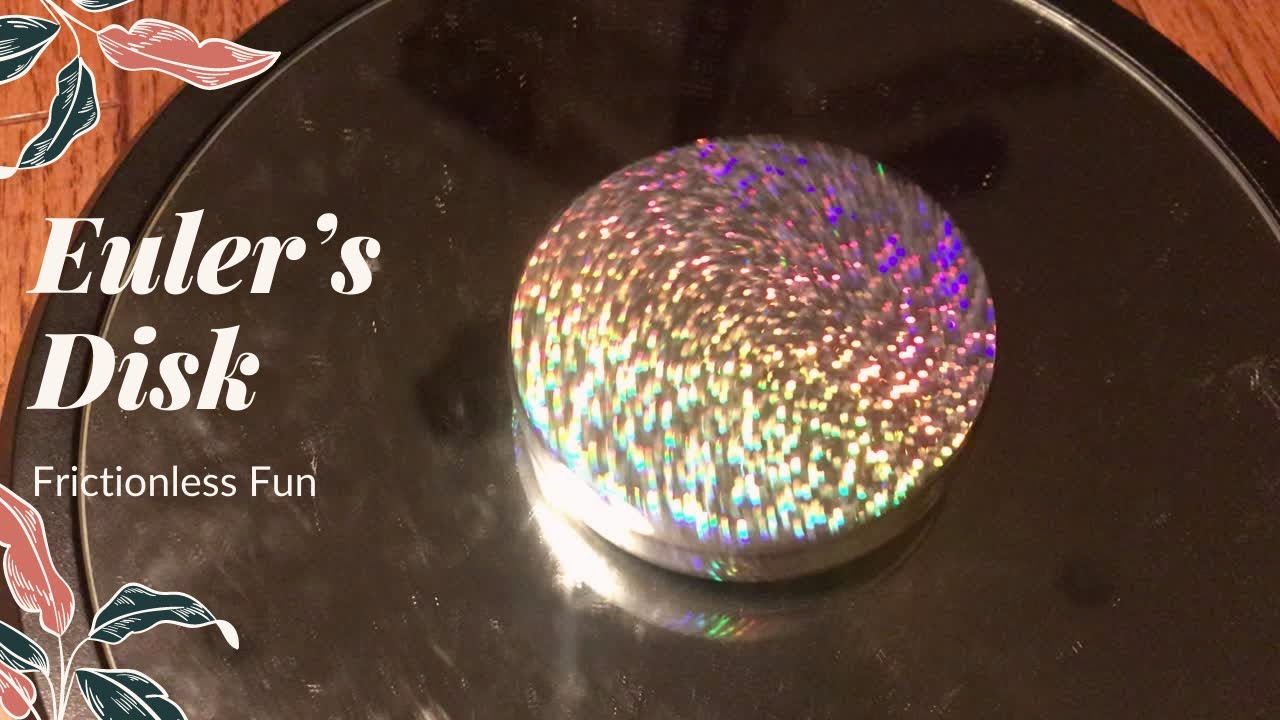 Science Experiment with Kids | Experiment with Spinning Disk | Euler’s Disk