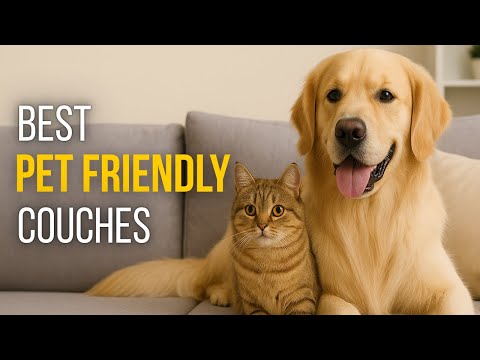Best Pet-Friendly Couches for 2025 | Top Picks for Style, Durability & Small Spaces