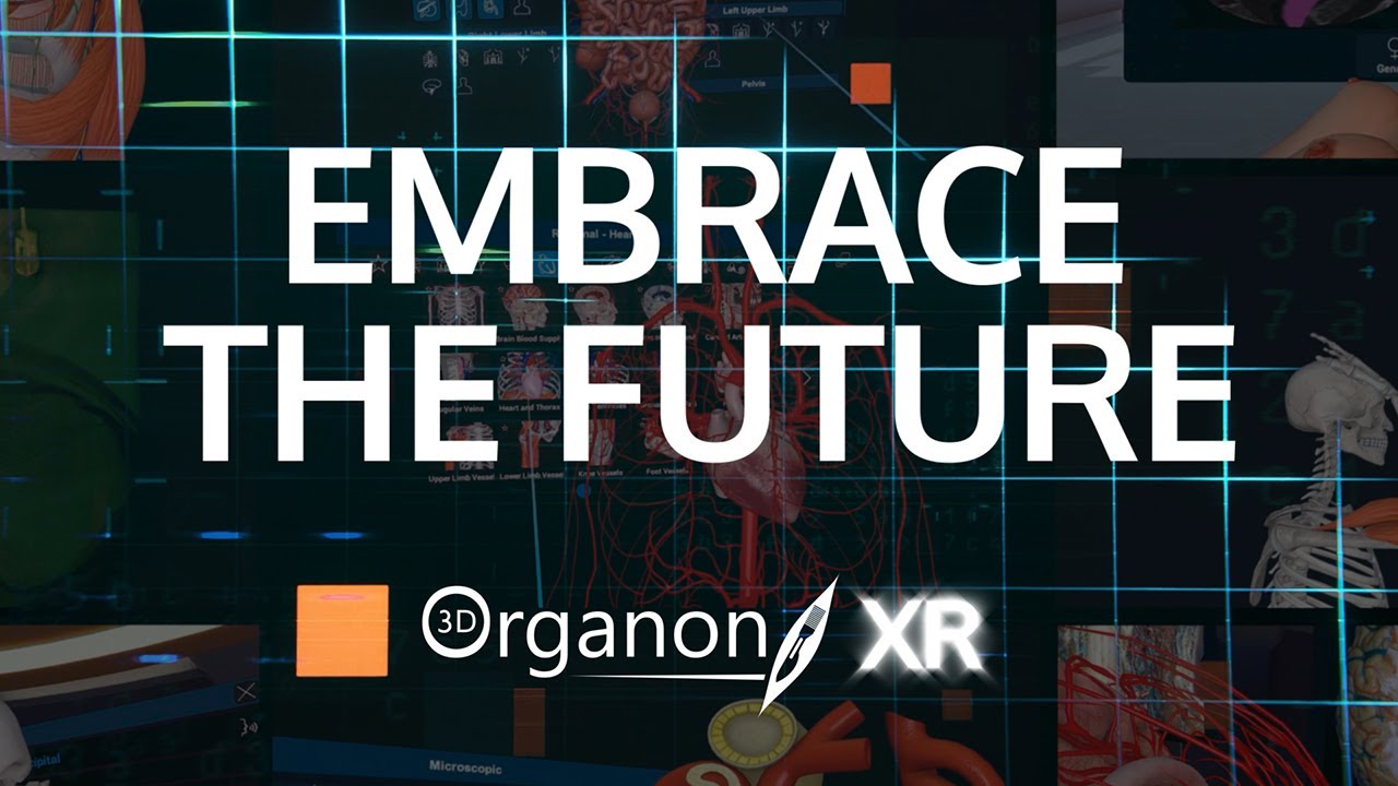 Body Actions – VR-Expert Wiki