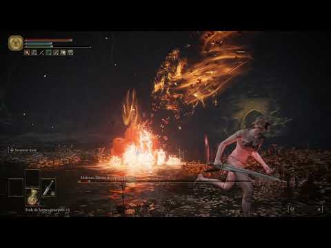 NG+7 Level 1 - Malenia [No Bleed/Frost, No Damage, No Parry, No Bloodhoud's Step, Solo] WORLD FIRST