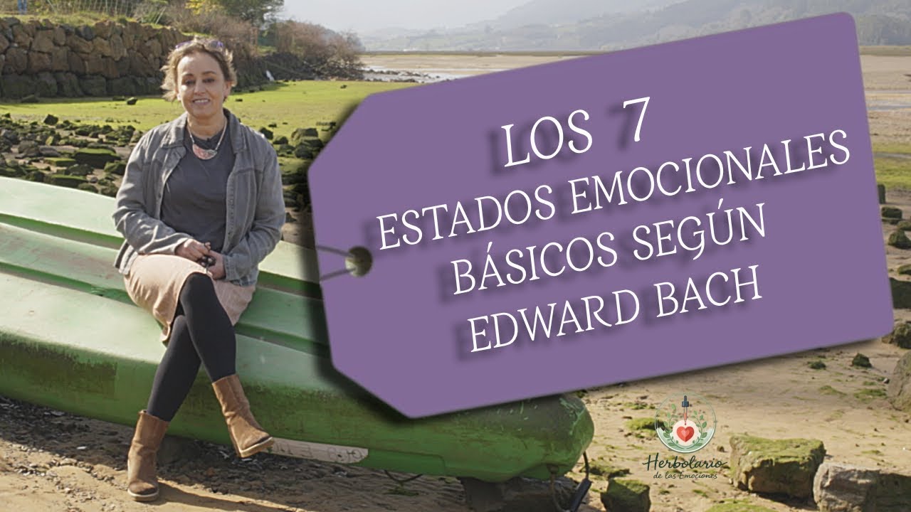 CAPÍTULO 3: Los SIETE ESTADOS EMOCIONALES BÁSICOS según EDWARD BACH