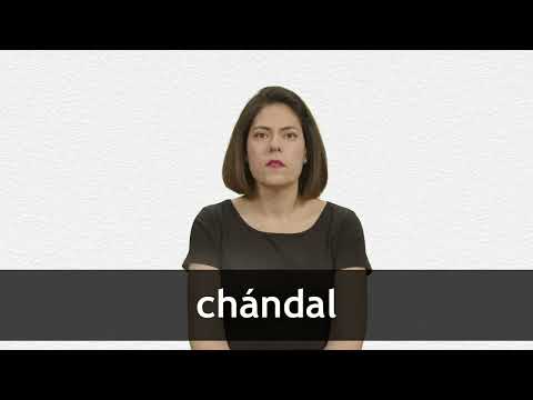 English Translation of “CHÁNDAL” | Collins Spanish-English Dictionary