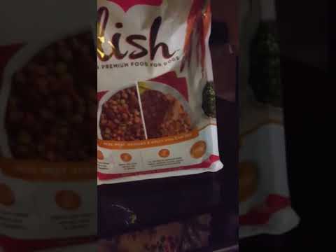 Dish dog food review