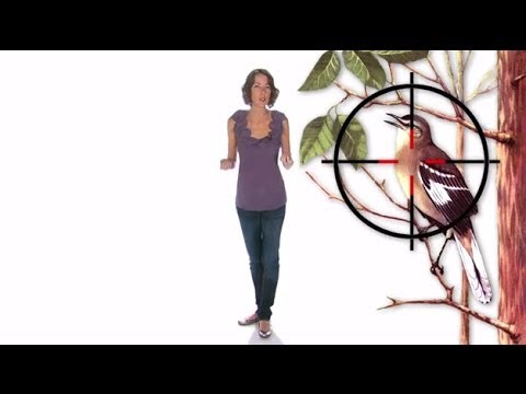To Kill A Mockingbird | Symbols | 60second Recap®