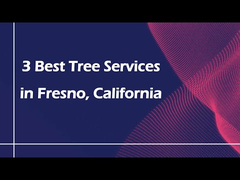 3 Best Tree Services in Fresno, California | Arborists
