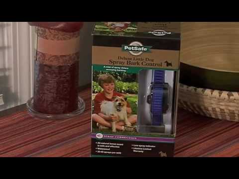PetSafe Deluxe Little Dog Spray Bark Control Collar