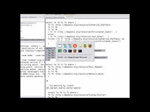 AllegroGraph SPARQL Query