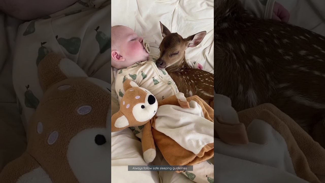 The cutest fawn cuddle sandwich. *always follow safe sleeping guidelines