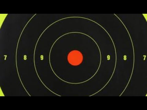 Birchwood casey Shoot-N-C target