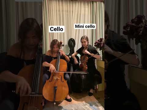 😳🔥PAINT IT BLACK (from WEDNESDAY) on the CELLO and MINI CELLO😂🎻