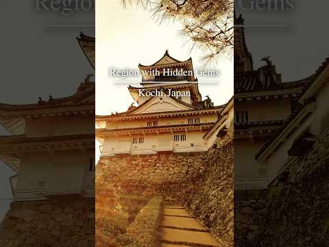 Japan’s Best Kept Secret|Kochi Prefecture|JNTO Members
