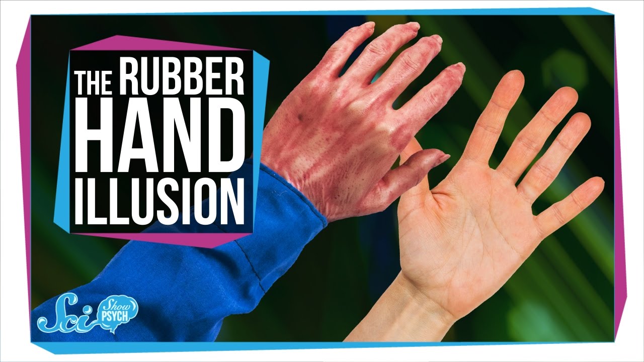 Exploring the Rubber Hand Illusion: Insights into Perception and ...