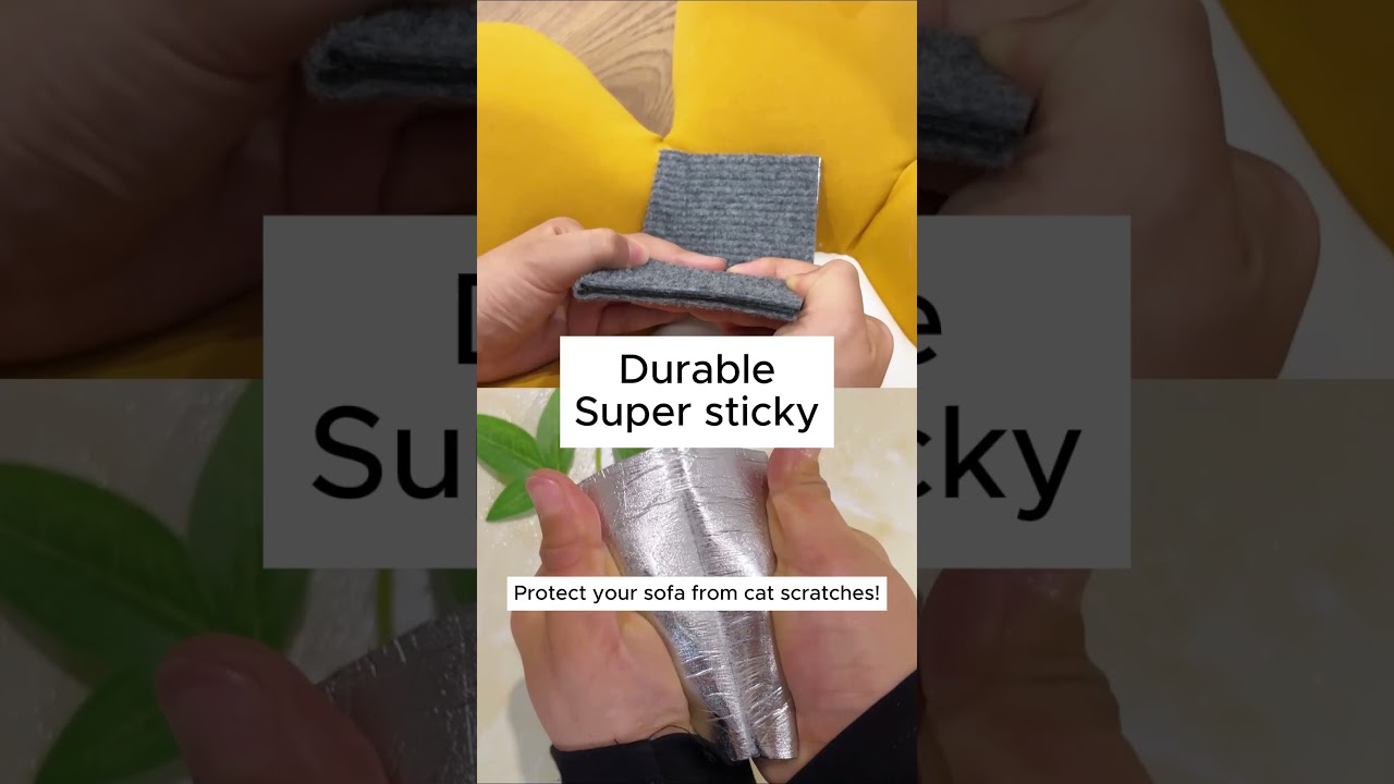The Secret to a Scratch-Free Sofa – Cat Couch Protector