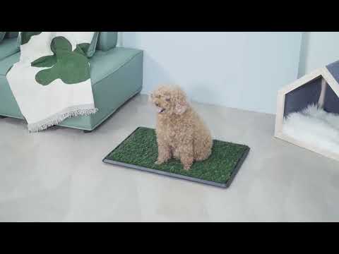Coziwow 3-Tier Artificial Turf Grass For Pet Dogs Indoor And Outdoors | CW12L0062