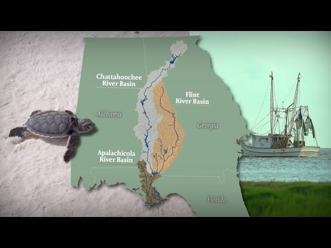 Apalachicola River & Bay: A Connected Ecosystem