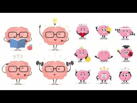 Afrikaans what is cp 360p zp198466