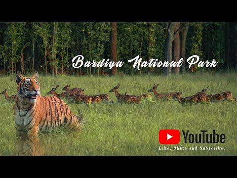 We saw tigers | Bardiya National Park | Vlog 9 |