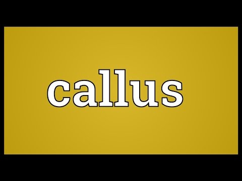 Callus Meaning