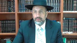 On ne devient pas Hassid en un jour - ToratHaim