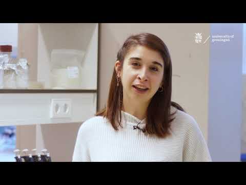 Study MSc Marine Biology at the University of Groningen | A student's experience