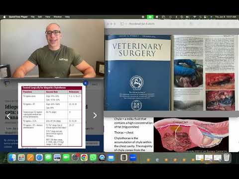 A new surgery to address idiopathic chylothorax in cats