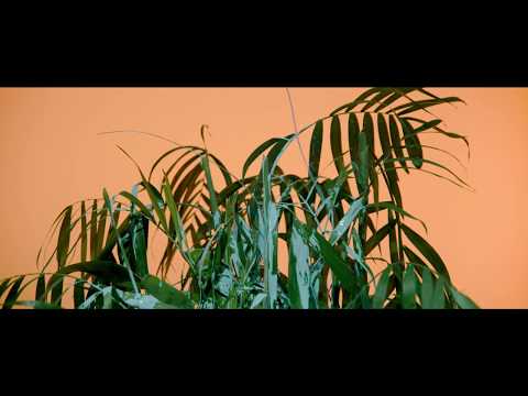 “Wake Up” to Dreamy New Singer Jessicka | Canadian Music Blog