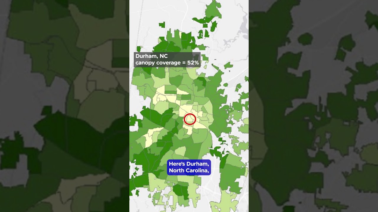 Why planting more trees doesn't always work || #heatwaves #urban #climatechange #citywalk