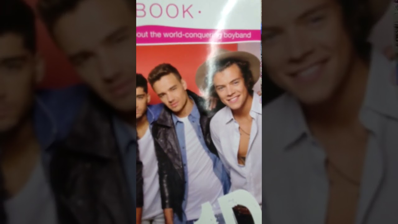 100% Unofficial @onedirectionchannel Fan Book @Walmart Thornhill