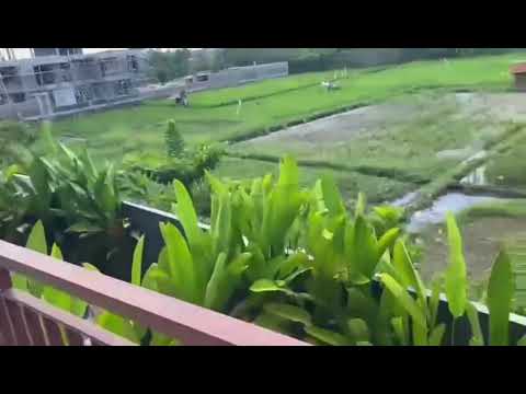 ID:A-980 For Rent Sewa Villa Kerobokan Kuta Bali Near Seminyak Umalas Denpasar Canggu