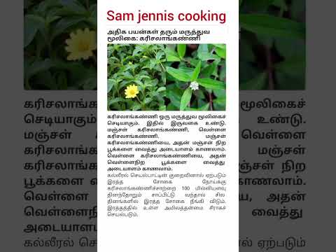 கரிசலாங்கண்ணியின் மருத்துவ பயன்கள் #short