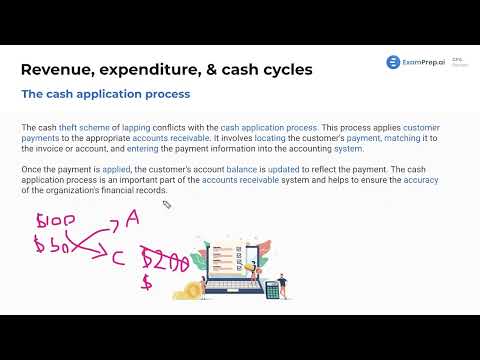 Cash Fraud Schemes [CPA Prep]