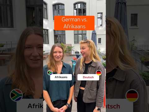 Did you know Dutch and Afrikaans shared a high degree of mutual intelligibility? 🤔