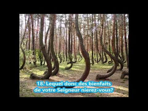 Récitation magnifique Sheikh Sudais Sourate 55 Ar Rahman français