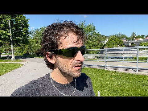 Birds Of A Feather Flock Together : The Animals of Canadian VAN LIFE  (part 2)