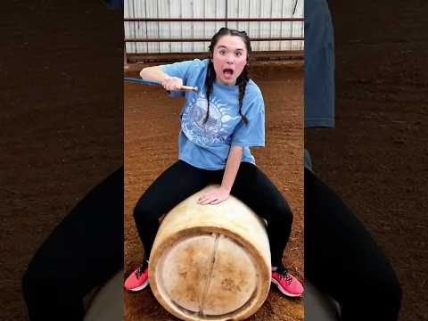 Is YOUR Horse Trainer One of THESE? ๐ด #shorts #animals