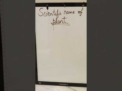 plant scientific name #subscribemychannel #conceptofbasiclearning #scienceloverstudents