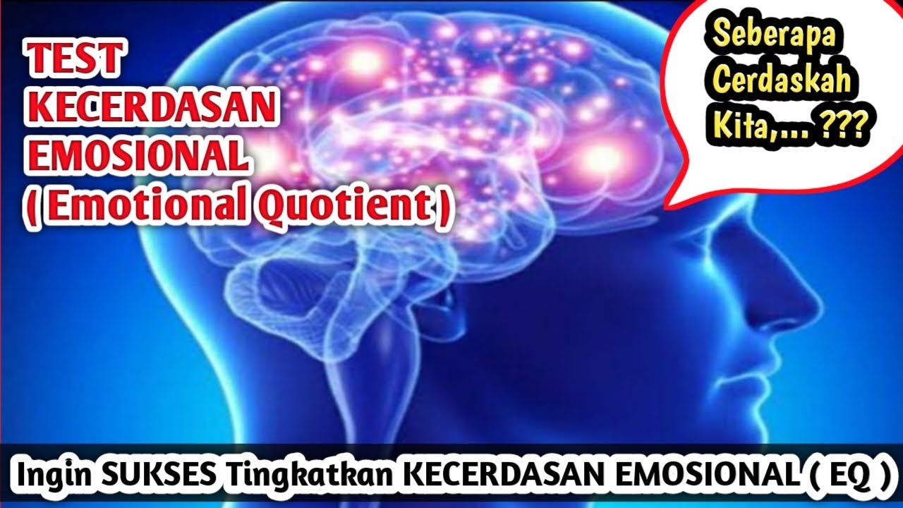 TEST KECERDASAN EMOSIONAL