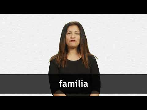 Traducción en inglés de “FAMILIA” | Collins Diccionario español-inglés
